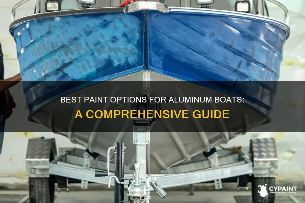 Best Paint Options For Aluminum Boats: A Comprehensive Guide | CyPaint