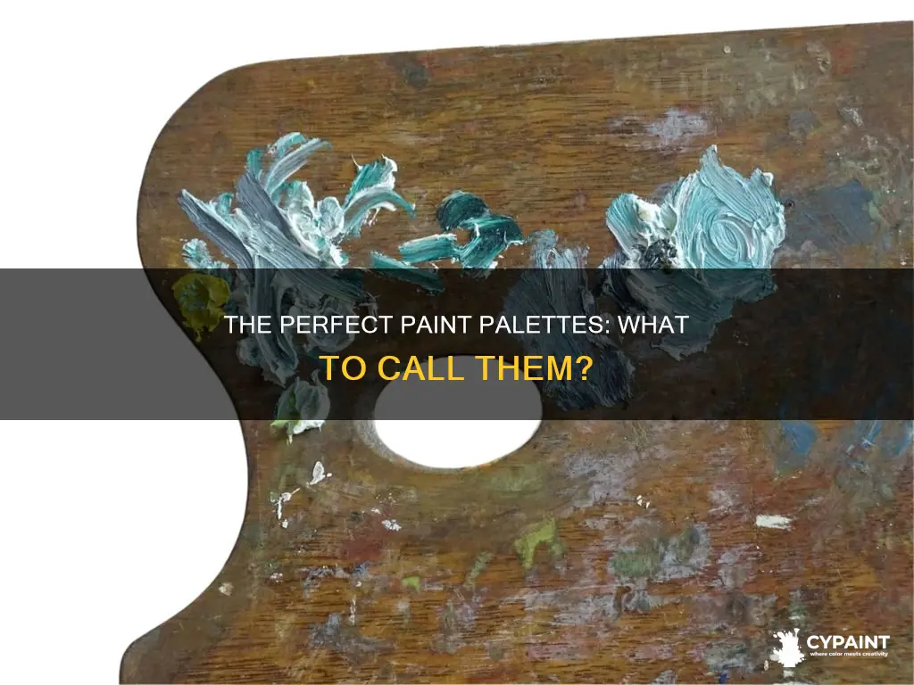 The Perfect Paint Palettes: What To Call Them? | CyPaint