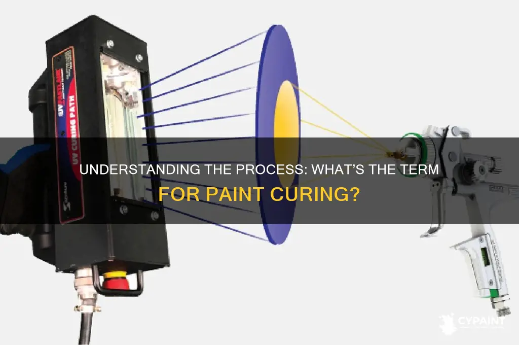 Understanding The Process: What’S The Term For Paint Curing? | CyPaint