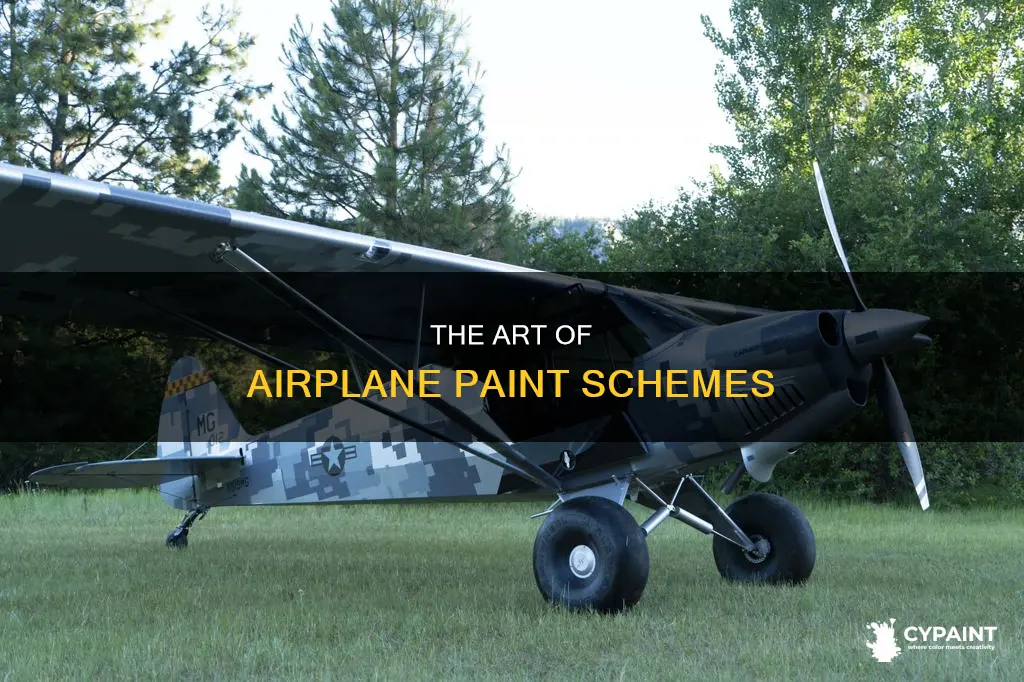 The Art Of Airplane Paint Schemes | CyPaint