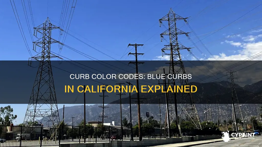 Curb Color Codes: Blue Curbs In California Explained | CyPaint