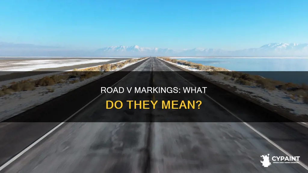 Road V Markings: What Do They Mean? | CyPaint