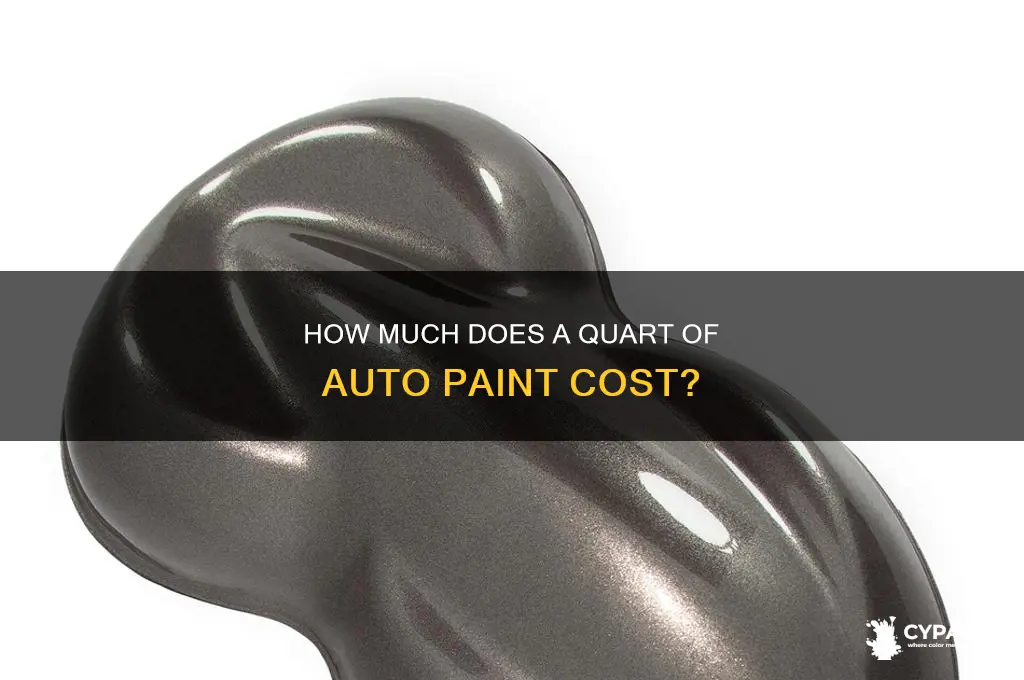 How Much Does A Quart Of Auto Paint Cost? | CyPaint