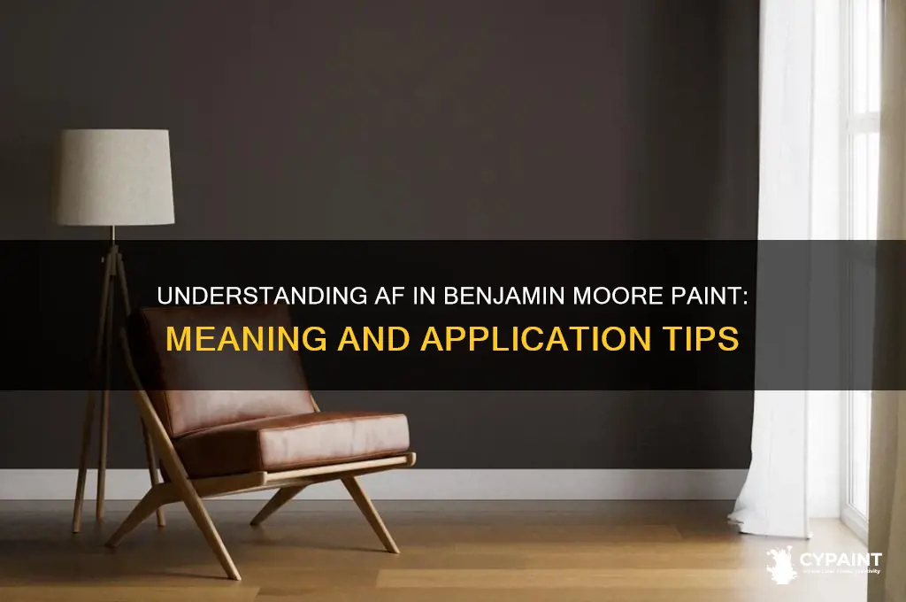 Understanding Af In Benjamin Moore Paint: Meaning And Application Tips ...