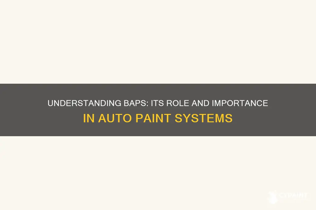 Understanding Baps: Its Role And Importance In Auto Paint Systems | CyPaint