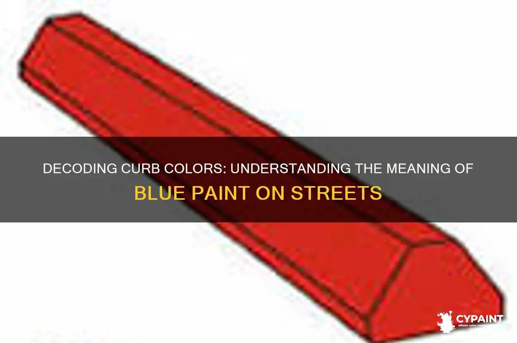 Decoding Curb Colors: Understanding The Meaning Of Blue Paint On ...