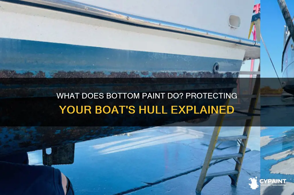 What Does Bottom Paint Do? Protecting Your Boat's Hull Explained | CyPaint
