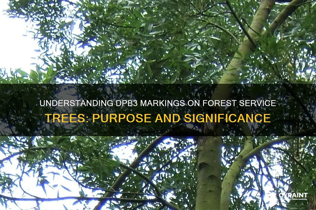 Understanding Dpb3 Markings On Forest Service Trees: Purpose And ...