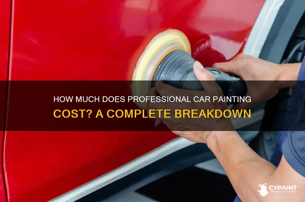 How Much Does Professional Car Painting Cost? A Complete Breakdown ...