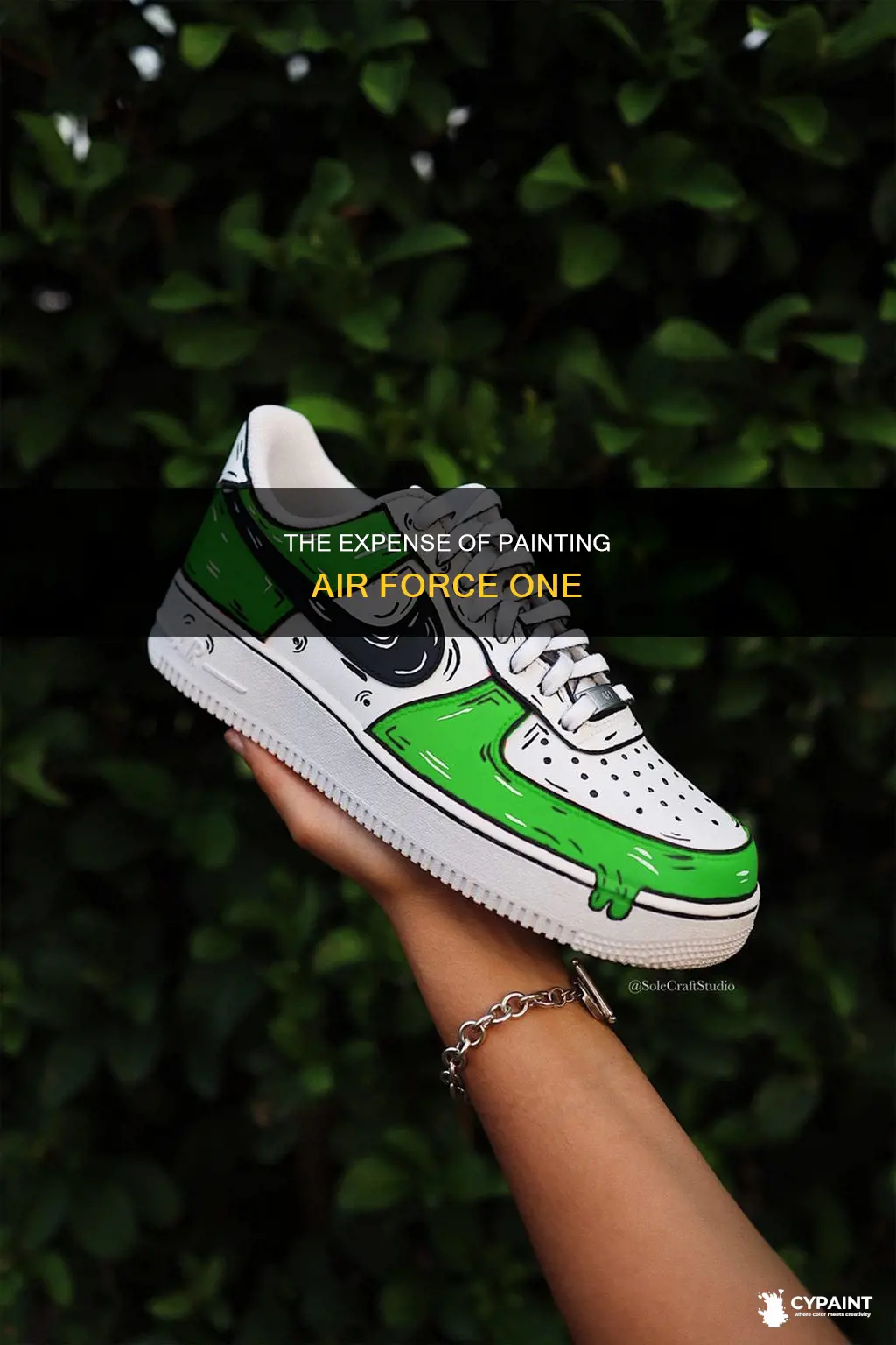 The Expense Of Painting Air Force One | CyPaint