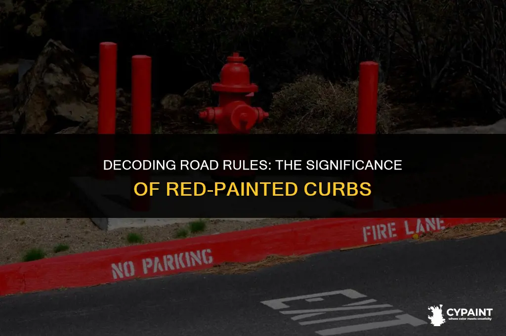 Decoding Road Rules: The Significance Of Red-Painted Curbs | CyPaint