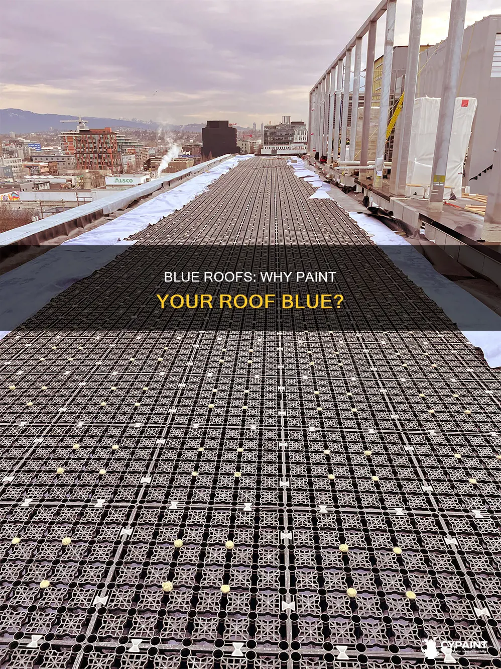Blue Roofs: Why Paint Your Roof Blue? | CyPaint
