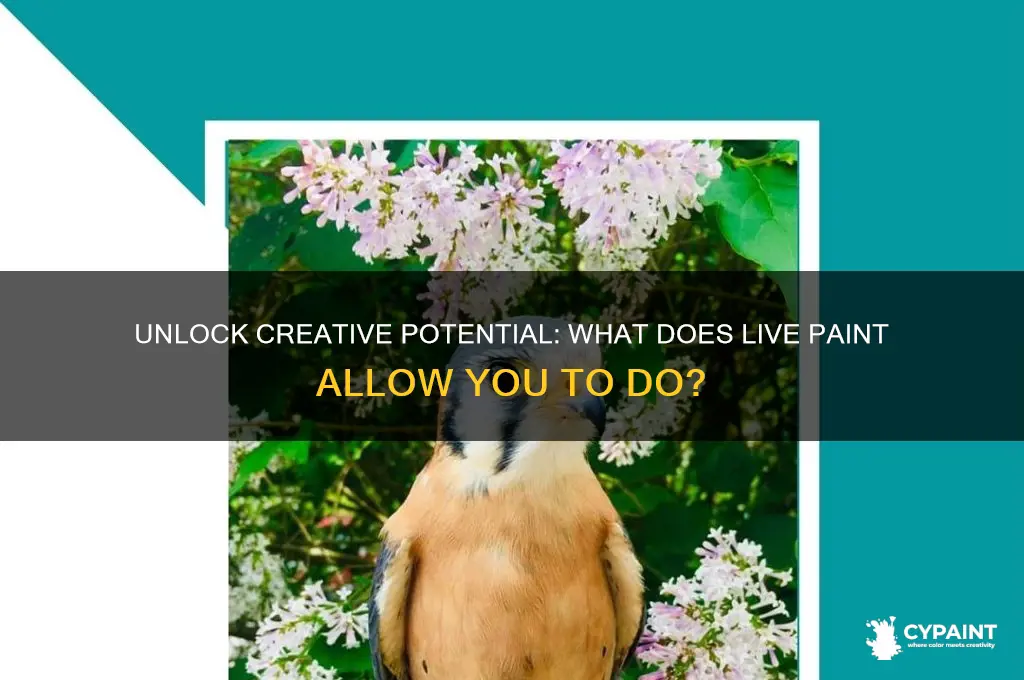 Unlock Creative Potential: What Does Live Paint Allow You To Do? | CyPaint