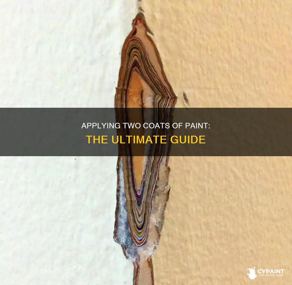 Applying Two Coats Of Paint: The Ultimate Guide | CyPaint
