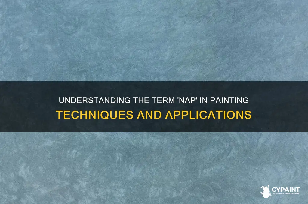 Understanding The Term 'Nap' In Painting Techniques And Applications ...