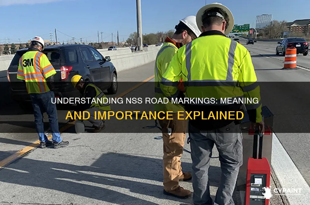 Understanding Nss Road Markings: Meaning And Importance Explained | CyPaint
