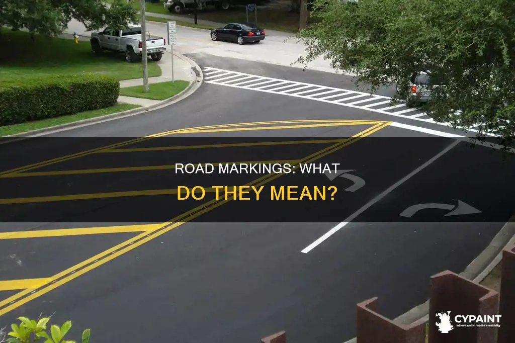 Road Markings: What Do They Mean? | CyPaint