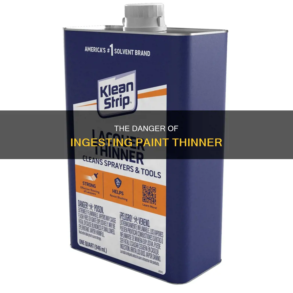 The Danger Of Ingesting Paint Thinner | CyPaint