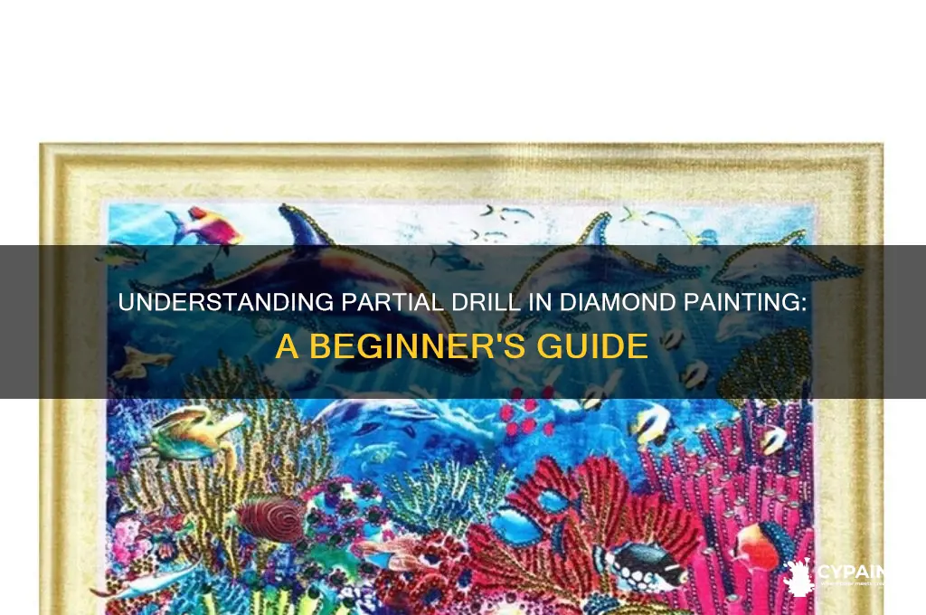 Understanding Partial Drill In Diamond Painting: A Beginner's Guide ...