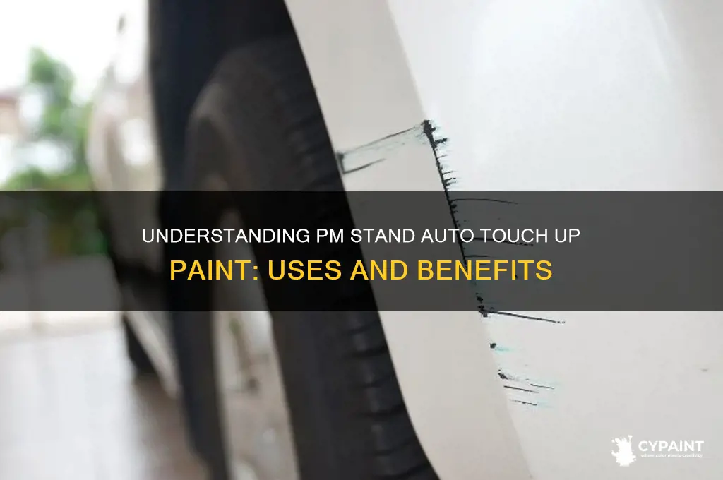 Understanding Pm Stand Auto Touch Up Paint: Uses And Benefits | CyPaint