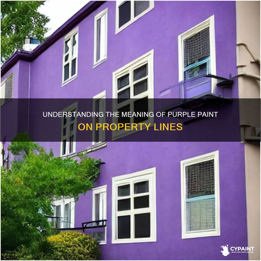 Understanding The Meaning Of Purple Paint On Property Lines | CyPaint