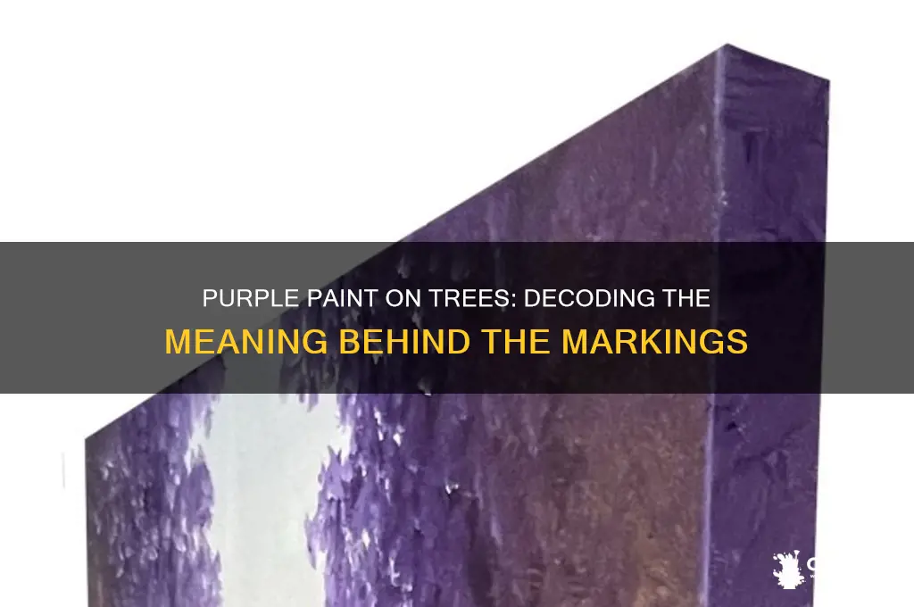 Purple Paint On Trees: Decoding The Meaning Behind The Markings | CyPaint