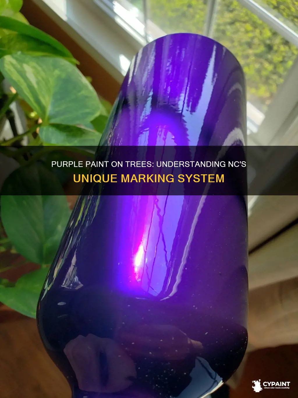 Purple Paint On Trees: Understanding Nc's Unique Marking System | CyPaint