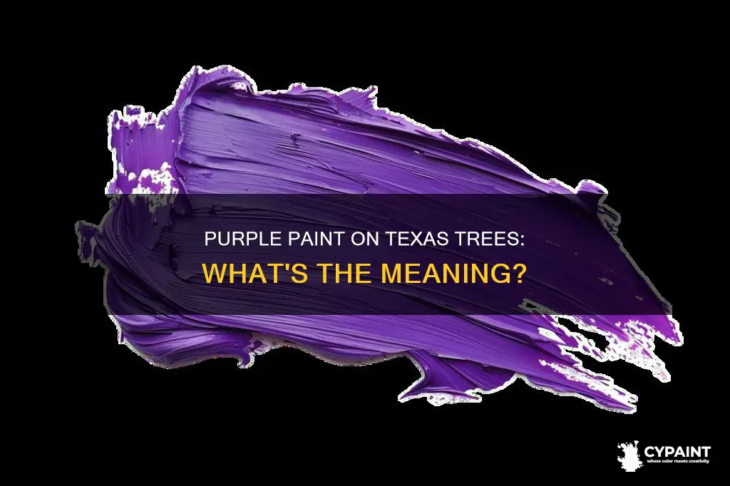Purple Paint On Texas Trees: What's The Meaning? | CyPaint