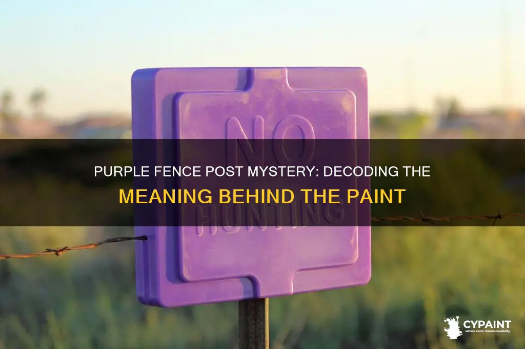 Purple Fence Post Mystery: Decoding The Meaning Behind The Paint | CyPaint