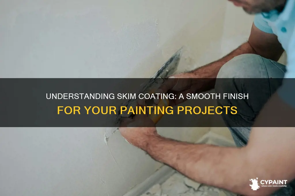 Understanding Skim Coating: A Smooth Finish For Your Painting Projects ...