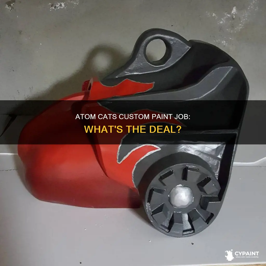 Atom Cats Custom Paint Job: What's The Deal? | CyPaint