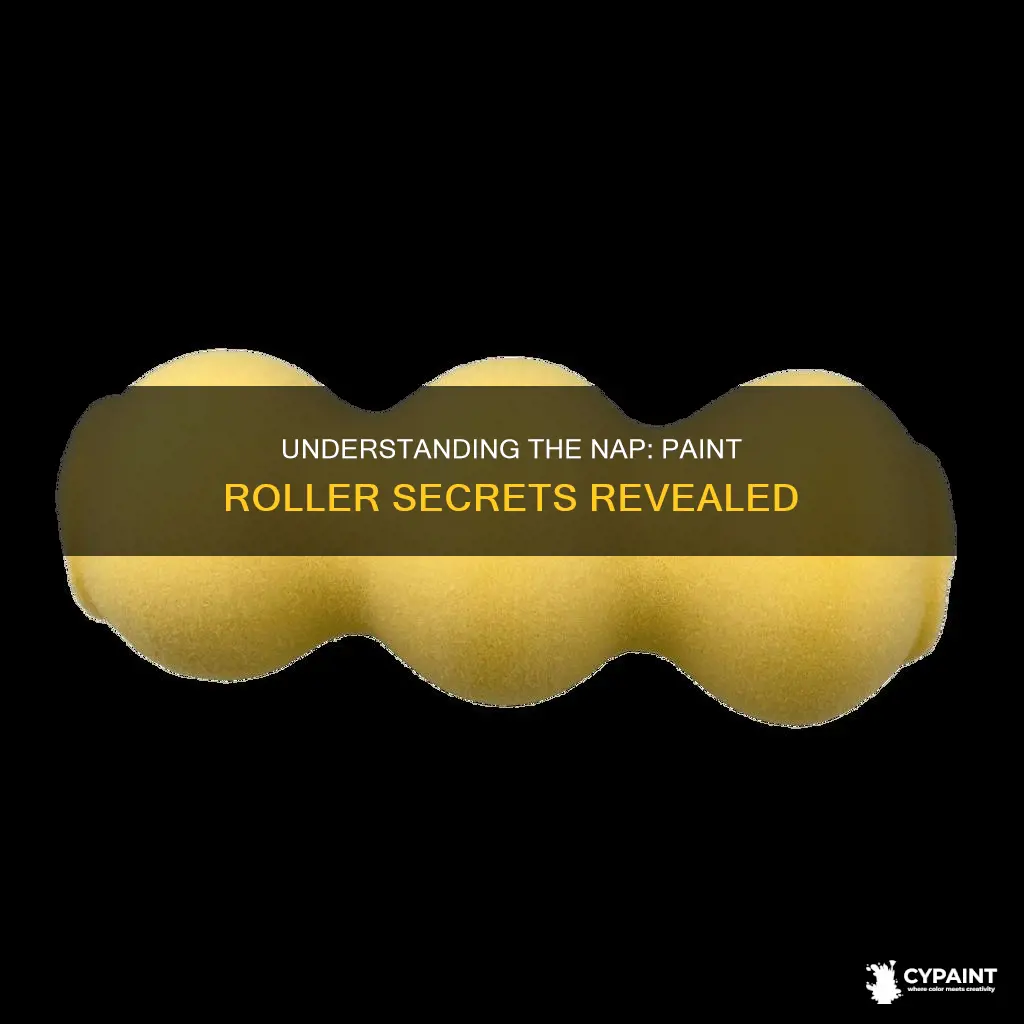 Understanding The Nap: Paint Roller Secrets Revealed | CyPaint