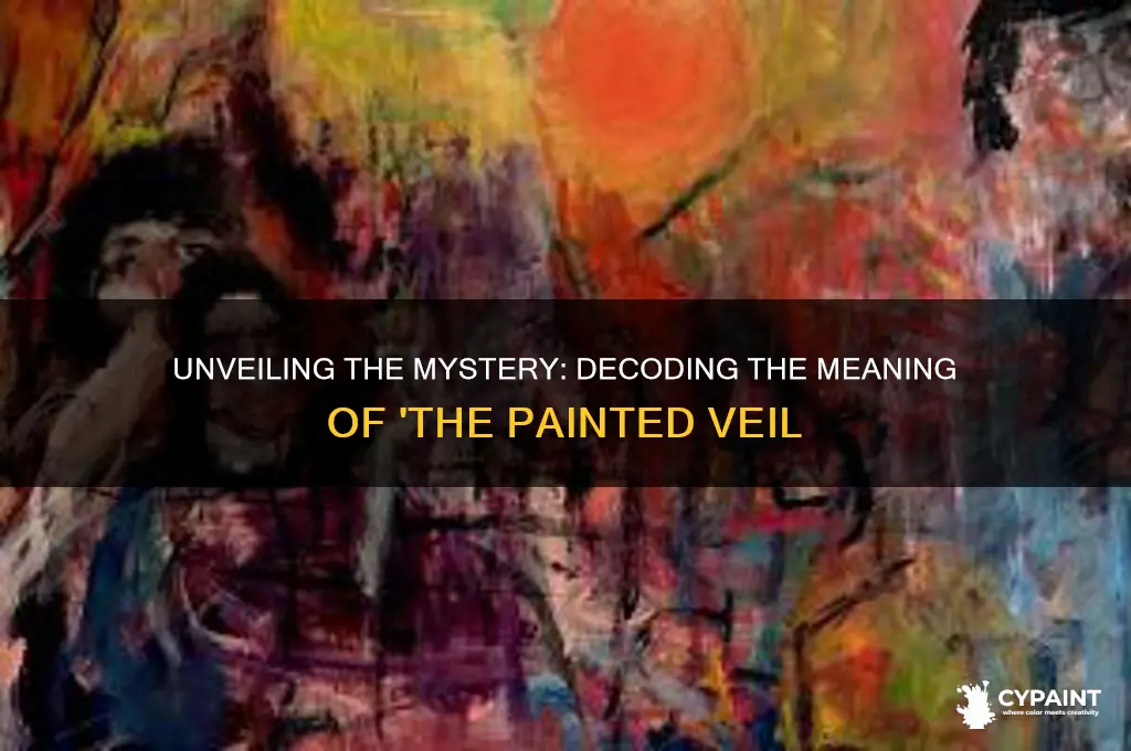 Unveiling The Mystery: Decoding The Meaning Of 'The Painted Veil | CyPaint