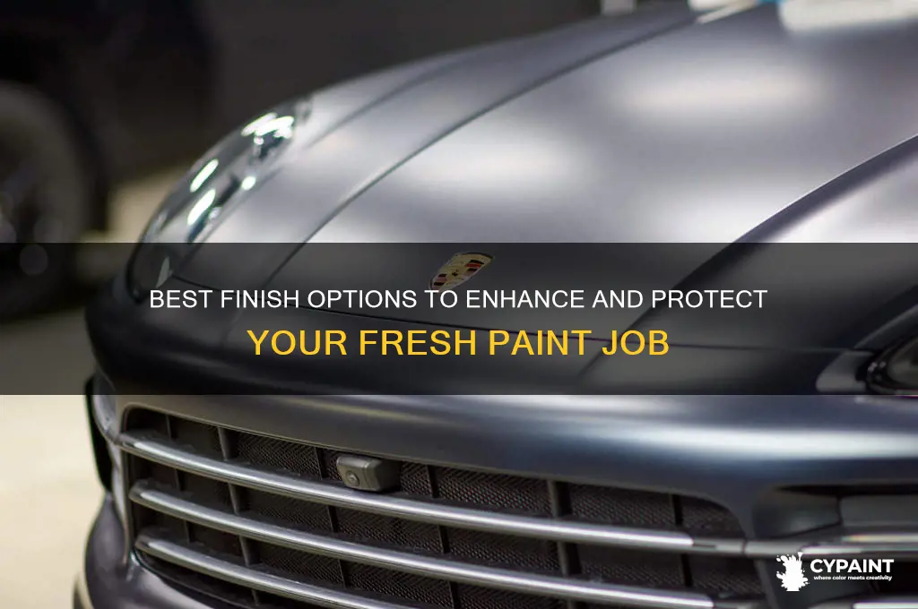 Best Finish Options To Enhance And Protect Your Fresh Paint Job | CyPaint