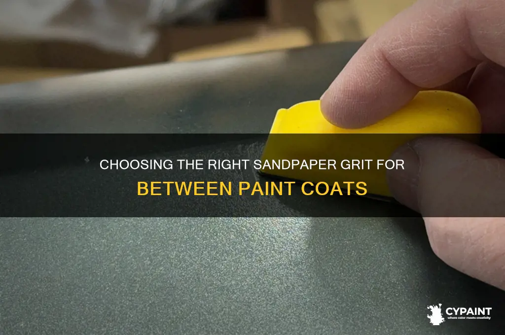 Choosing The Right Sandpaper Grit For Between Paint Coats | CyPaint