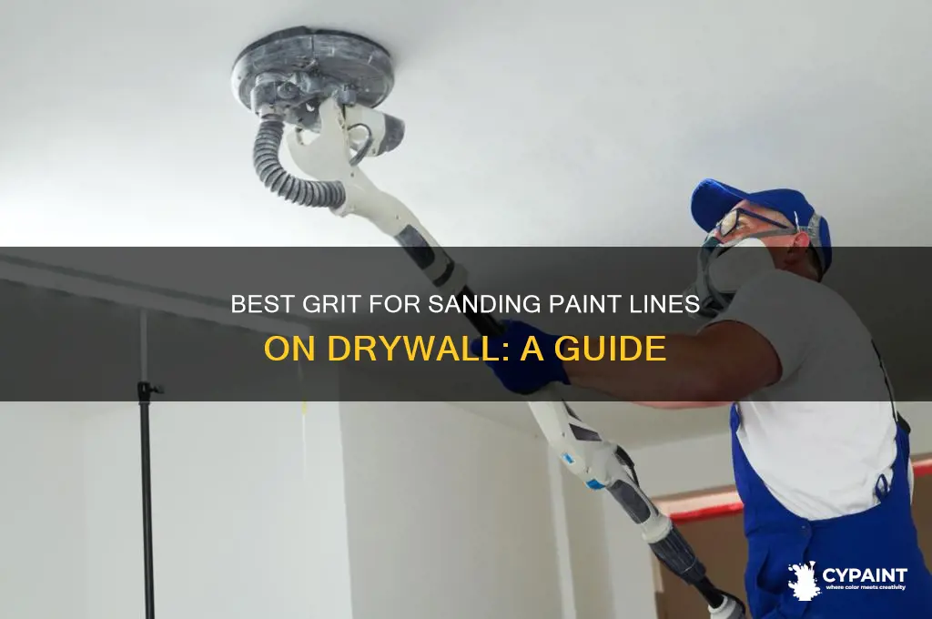 Best Grit For Sanding Paint Lines On Drywall: A Guide | CyPaint