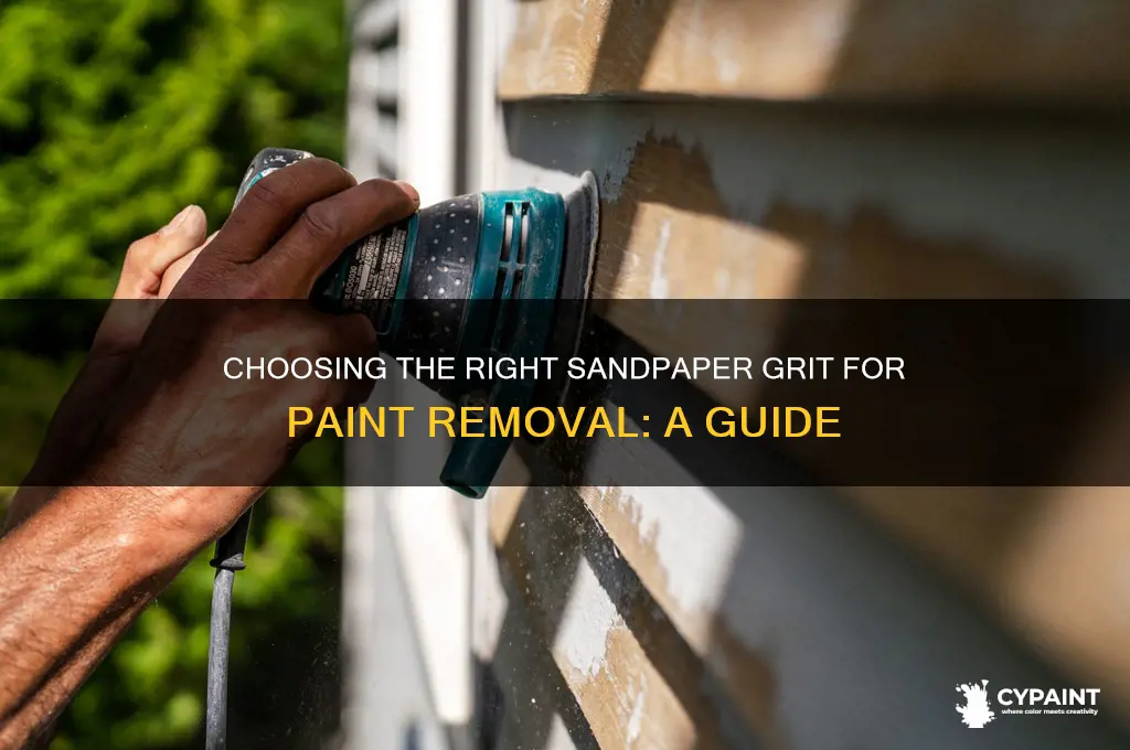 Choosing The Right Sandpaper Grit For Paint Removal: A Guide | CyPaint