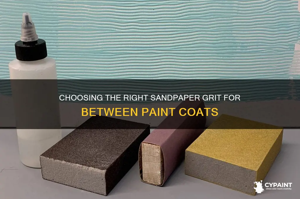Choosing The Right Sandpaper Grit For Between Paint Coats | CyPaint