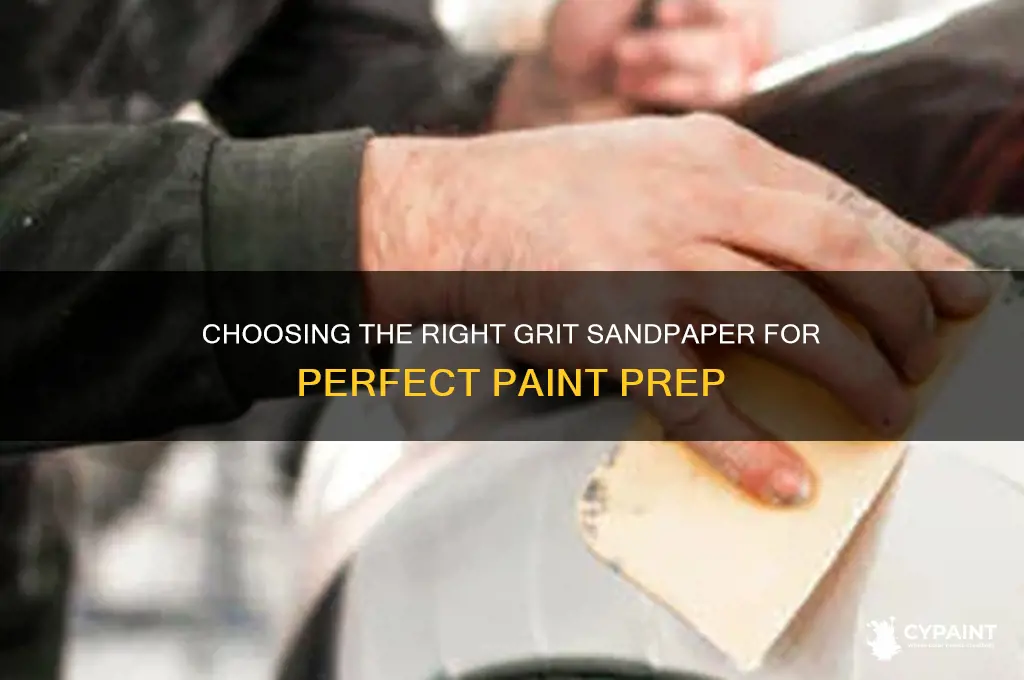 Choosing The Right Grit Sandpaper For Perfect Paint Prep | CyPaint