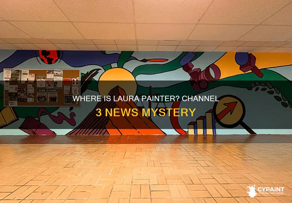 Where Is Laura Painter? Channel 3 News Mystery | CyPaint