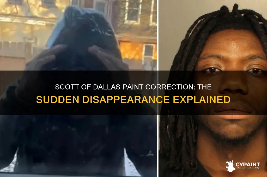 Scott Of Dallas Paint Correction: The Sudden Disappearance Explained ...