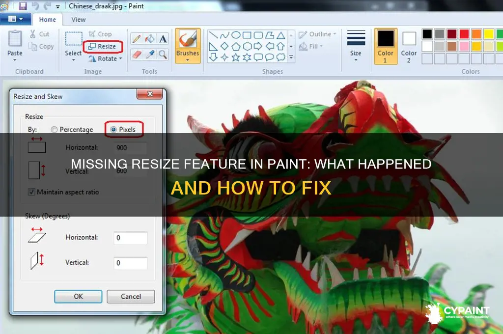Missing Resize Feature In Paint: What Happened And How To Fix | CyPaint