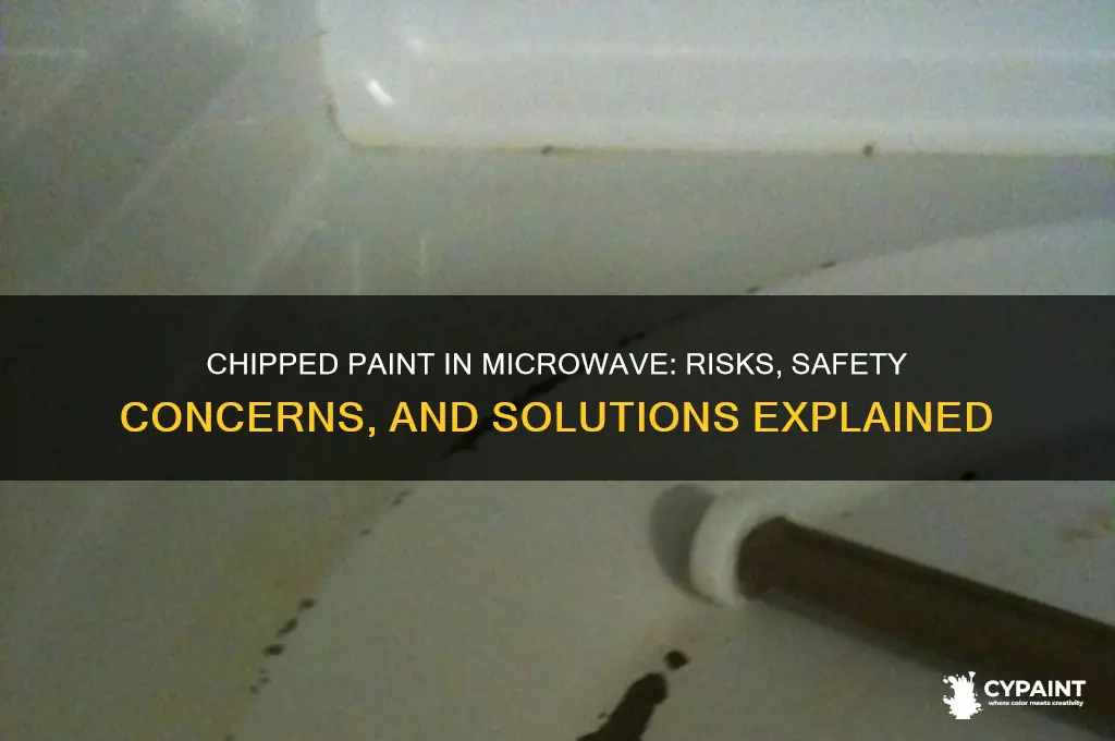 Chipped Paint In Microwave: Risks, Safety Concerns, And Solutions ...