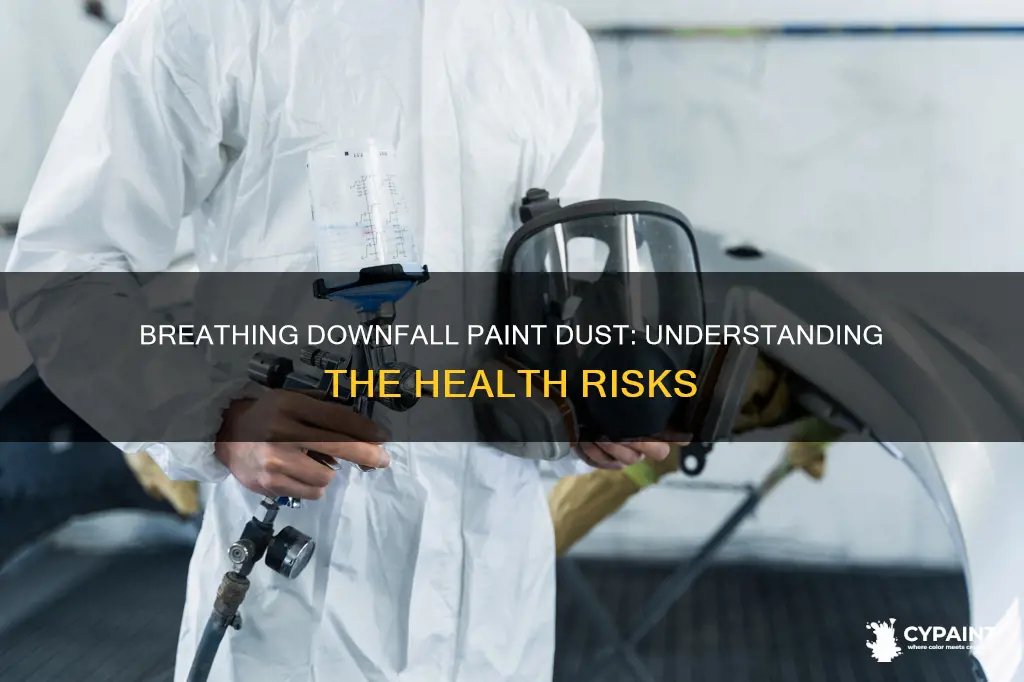 Breathing Downfall Paint Dust: Understanding The Health Risks | CyPaint