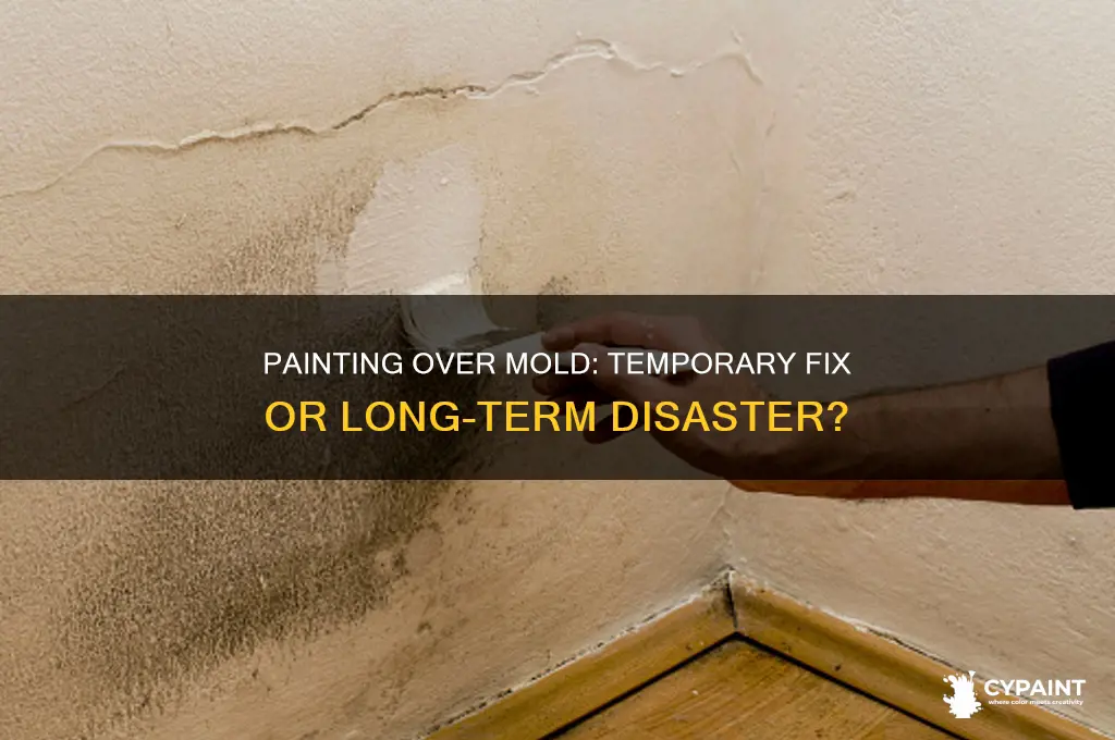 Painting Over Mold: Temporary Fix Or Long-Term Disaster? | CyPaint