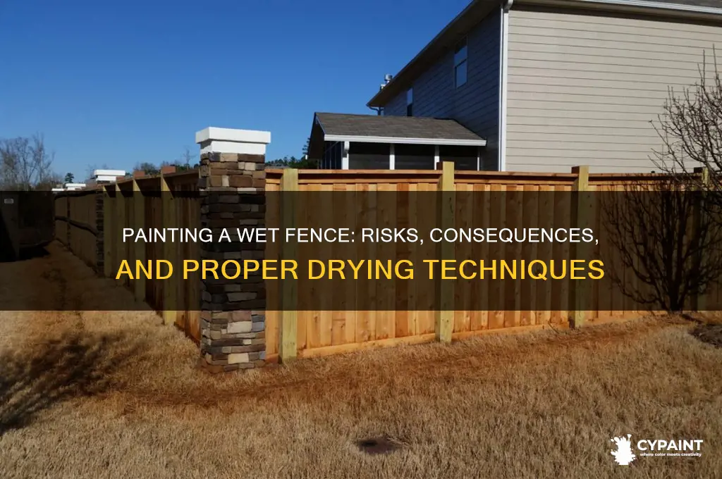 Painting A Wet Fence: Risks, Consequences, And Proper Drying Techniques ...
