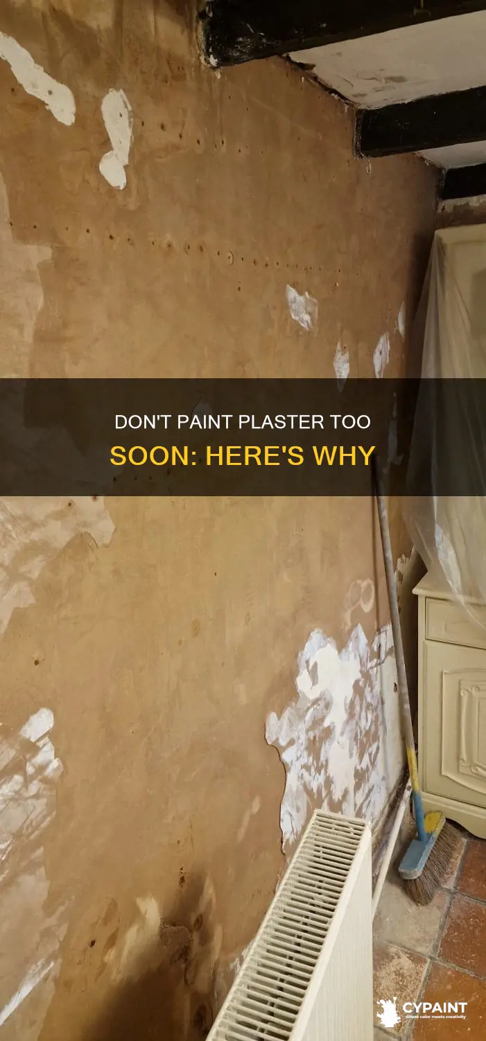 Don't Paint Plaster Too Soon: Here's Why | CyPaint
