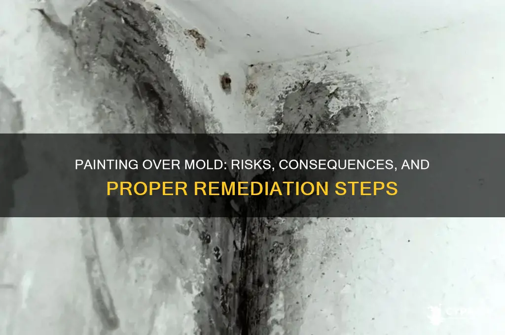 Painting Over Mold: Risks, Consequences, And Proper Remediation Steps ...