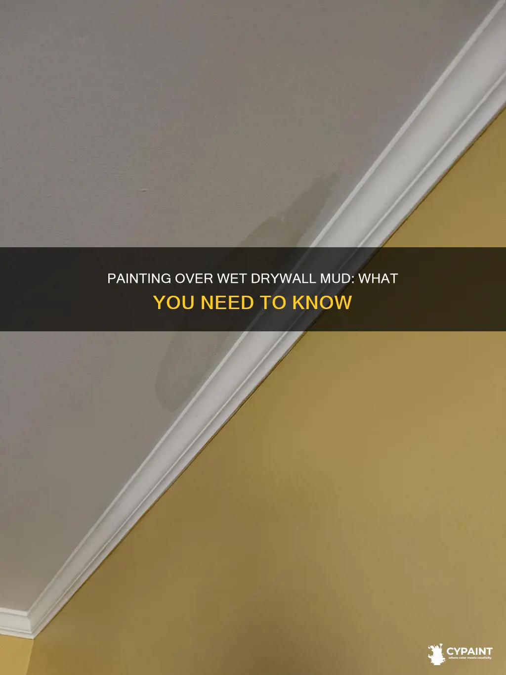 Painting Over Wet Drywall Mud: What You Need To Know | CyPaint