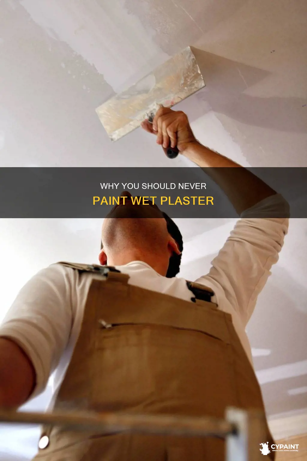 Why You Should Never Paint Wet Plaster | CyPaint